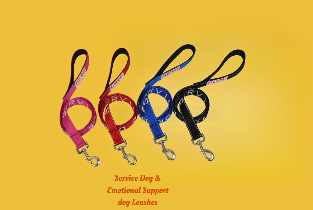 Leashes & Collars – AlbCorpShop